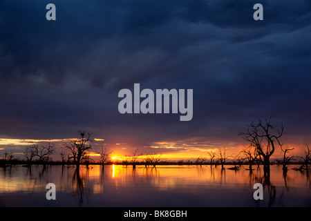 Kinchega National Park Menindee Lake New South Wales Australia Stock ...