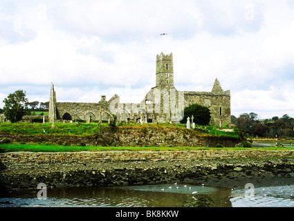 14th Century Timoleague Abbey, Timoleague, County Cork, Ireland Stock ...