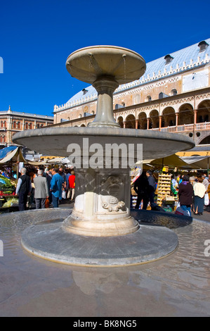 Padua, Piazza Delle Erbe, Salone & Market Stock Photo - Alamy