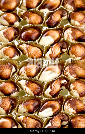 Chocolate sweets in the form of sea shells and sea horses. Black ...