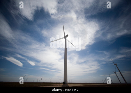 USA, Texas, Roscoe County, West Texas Wind Turbines Stock Photo - Alamy