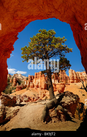 BRYCE CANYON, UNITED STATES - May 28, 2016: A beautiful view of arch ...