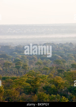 Water hole Hwange Zimbabwe Stock Photo - Alamy