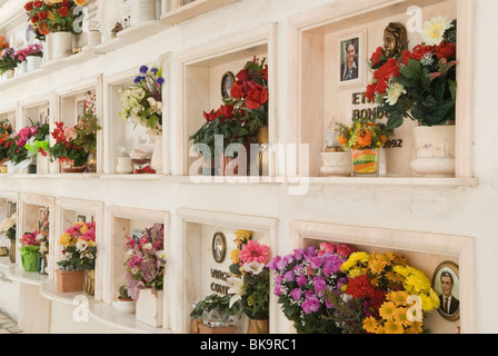 Italian cemetery with wall graves Stock Photo - Alamy