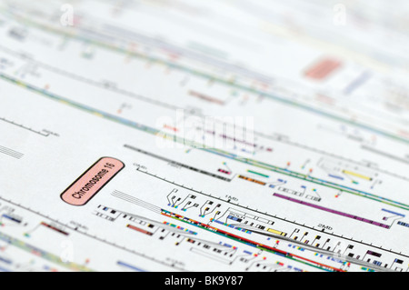 Human genome map focused on the chromosomes 19 and 20 Stock Photo - Alamy