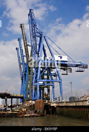 Quayside container cranes Port of Felixstowe Suffolk England Stock ...