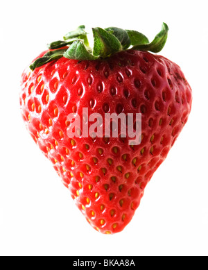 still life, food, aliment, isolated, steel, prepare, raw, cut, plastic ...