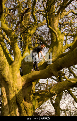 Nude man climbing on tree branches Stock Photo: 33835220 - Alamy