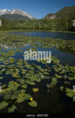 Cub Lake, Stones Peak, Rocky Mountains ,Rocky Mountain National Park ...