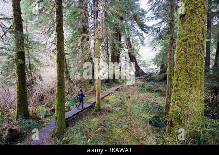 old growth forest in Carmanah Walbran Provincial Park Vancouver Island ...