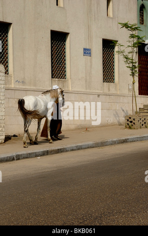 The Zabbaleen , an Egyptian community of mainly Coptic Christians who ...