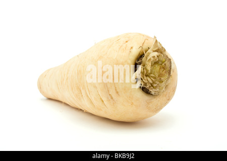 Single whole Parsnip from low viewpoint isolated against white ...
