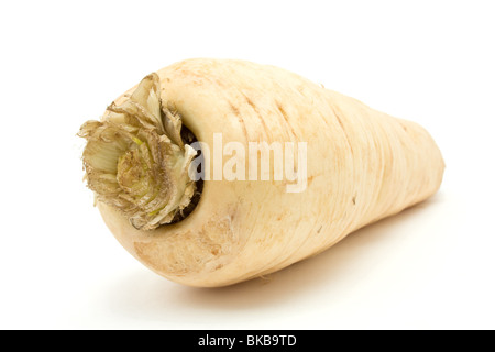 Single whole Parsnip from low viewpoint isolated against white ...