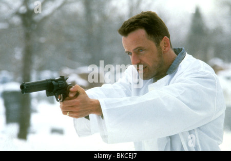 THE ASSIGNMENT (1997) AIDAN QUINN ASG 006 Stock Photo - Alamy