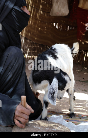 Bedouin woman with millstone Stock Photo - Alamy