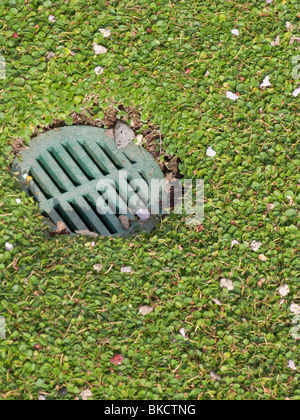 Stone sewer and green grass Stock Photo - Alamy