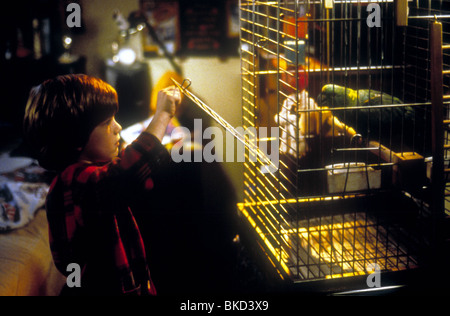 Alex D. Linz Film Home Alone 3 (USA 1997) Characters: Alex Pruitt ...