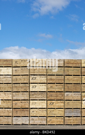 Stacks of empty wooden potato boxes Stock Photo - Alamy
