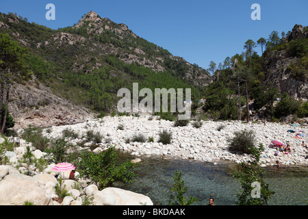 A mountain stream in mountain of Corsica Stock Photo - Alamy
