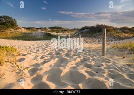 Sand Dunes at Cape Cod National Seashore, Provincetown, Massachusetts ...