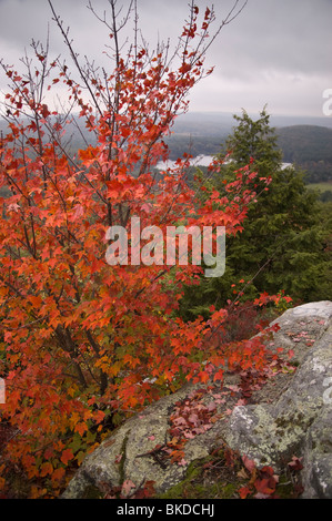 View from the top of Tully Mountain, overlooking Tully Lake, Orange ...