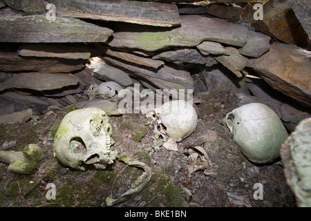 inuit skulls in a grave in Ilulissat in Greenland These ancient graves ...