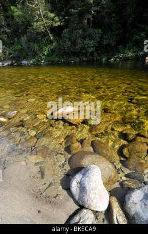 Inangahua, West Coast • New Zealand Stock Photo - Alamy