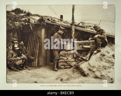 World War I Carrier Pigeon Message Capsule with Original Message Stock ...