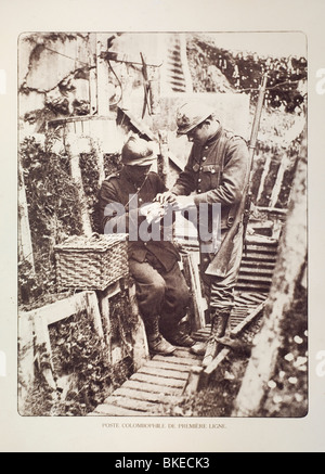 World War I Carrier Pigeon Message Capsule with Original Message Stock ...