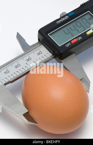 Single egg under calibration by electronic digital caliper Stock Photo ...