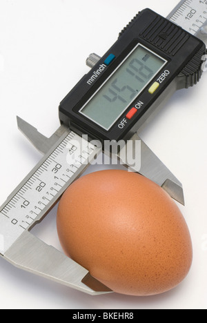 Single egg under calibration by electronic digital caliper Stock Photo ...