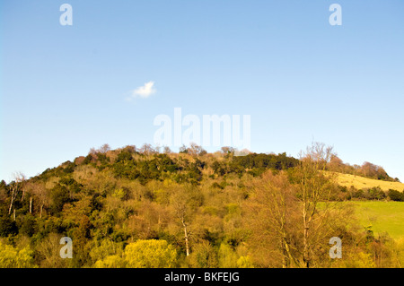 Box Hill Surrey England UK Stock Photo - Alamy