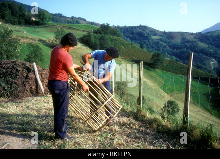 French Basque people person shepherds and dogs sheep grazing Pyrenees ...