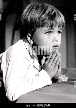 GENTLE BEN (TV) CLINT HOWARD Stock Photo - Alamy