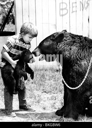 GENTLE BEN (TV) CLINT HOWARD Stock Photo - Alamy
