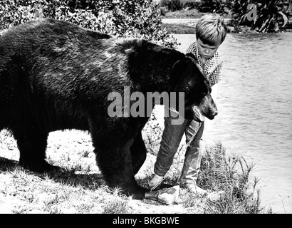 GENTLE BEN (TV) CLINT HOWARD Stock Photo - Alamy