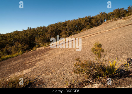 Bald Rock, Tenterfield, New South Wales, Australia Stock Photo - Alamy