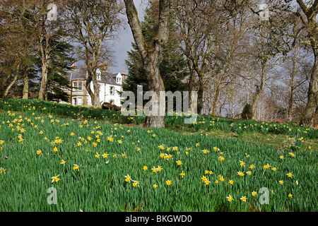 Scottish Country houses. Rathburne House Stock Photo - Alamy