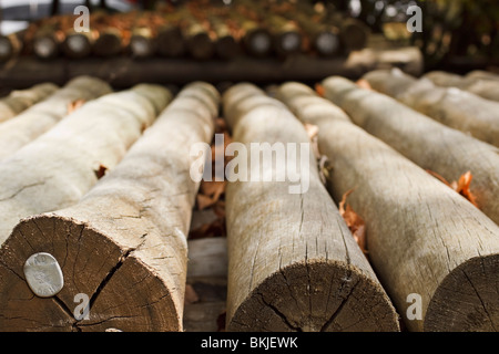 Stacked cut timber poles used for fencing, carrying markings confirming ...