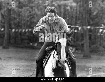 LILITH, Warren Beatty, 1964 Stock Photo - Alamy