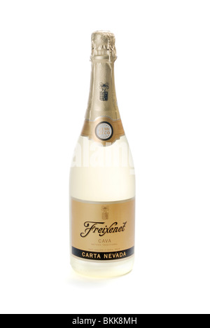 Bottle of Spanish Cava Sparkling Wine on a White Background Stock Photo ...