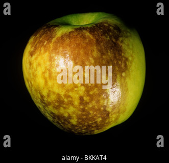 Superficial scald injury on apple caused by physiological changes in ...