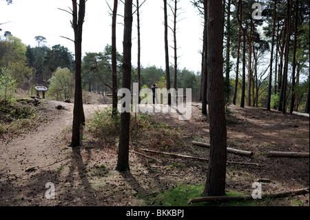 The heathland trail and walk at the RSPB Pulborough Brooks Nature ...