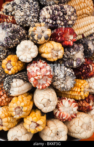 Latin American maize varieties Stock Photo - Alamy