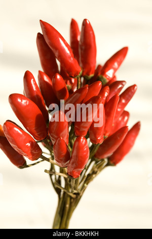 Bunch of small red chili peppers and garlic bulbs on white background ...