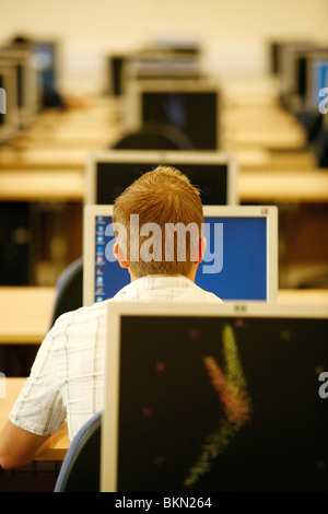 University students working at computer workstations Stock Photo - Alamy
