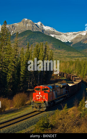 A vertical image of a Canadian National freight train loading grain ...