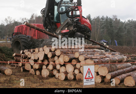 Bosbouwwerktuig, zaagmachine, takelt boomstammen en zaagt ze doormidden ...