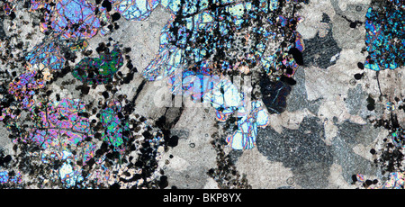 Metasomatic Marble rock sample photographed to show mineral colours in ...