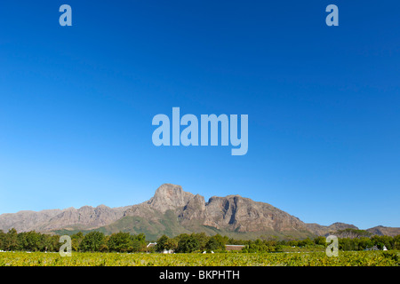 Groot Drakenstein, Western Cape, South Africa. December 2017. Two Stock ...